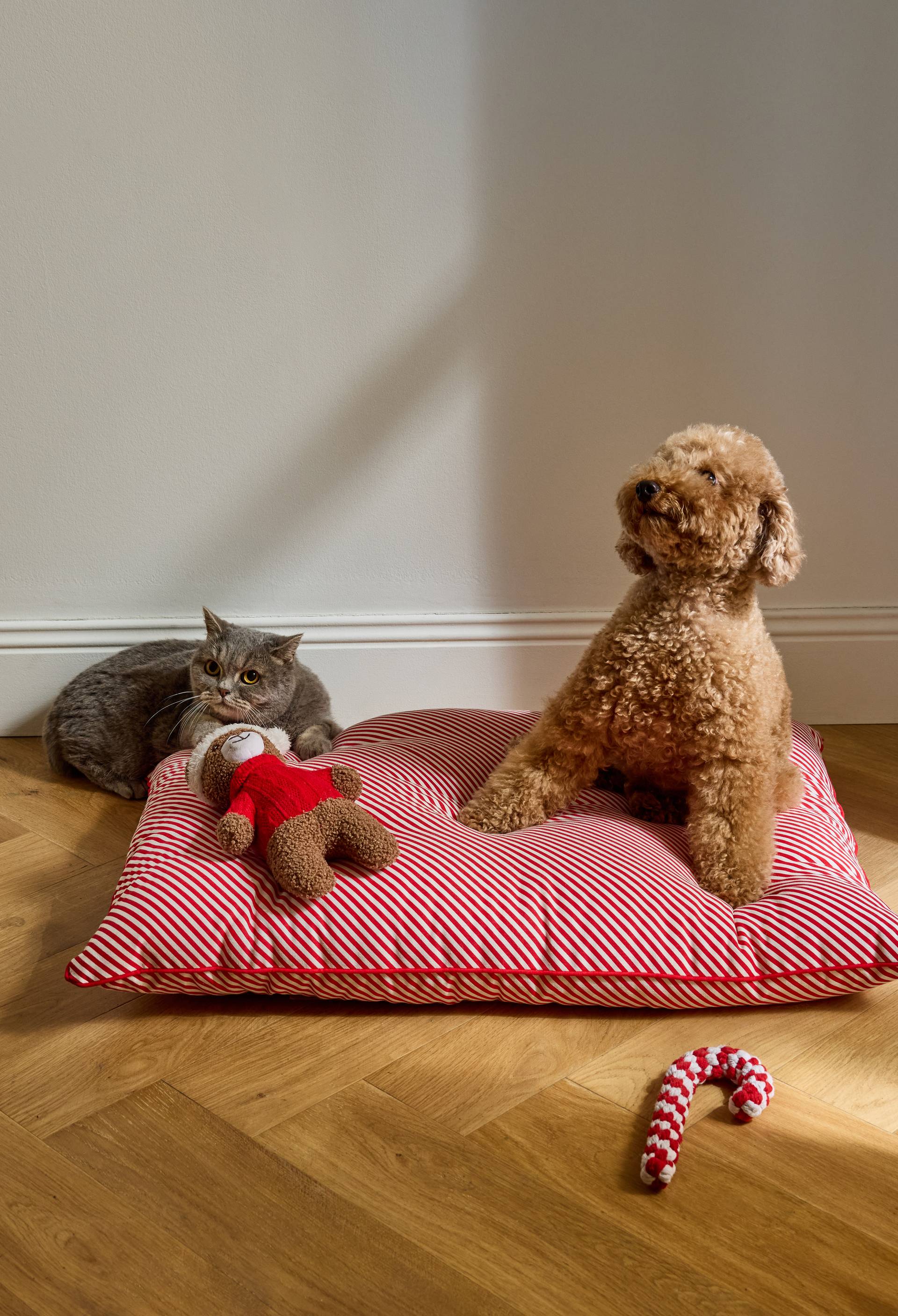 Jouet corde sucre d'orge, 20x10cm en coton